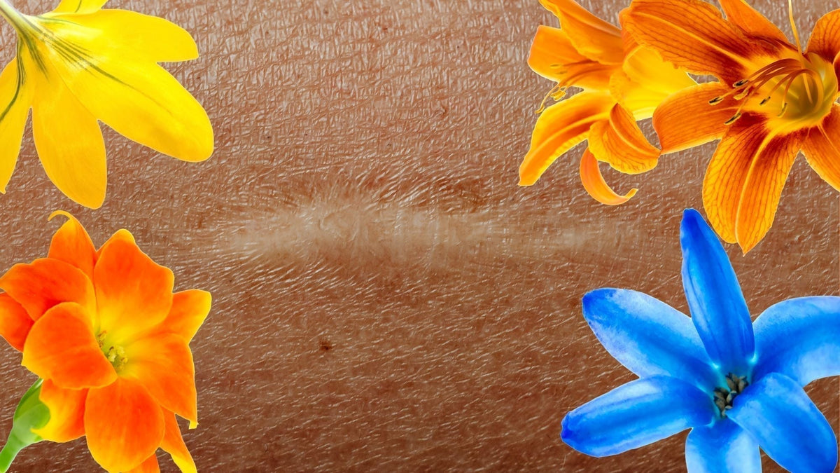 The Truth About Scars, Skin, and Self-Love – The Very Good Goo